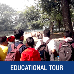 Home - Sarada Educare