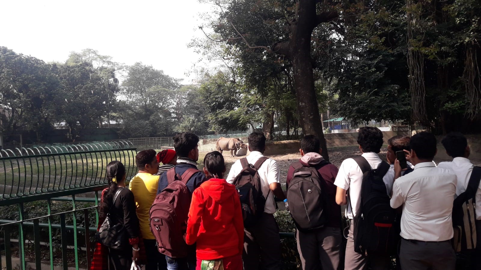 Gallery - Sarada Educare